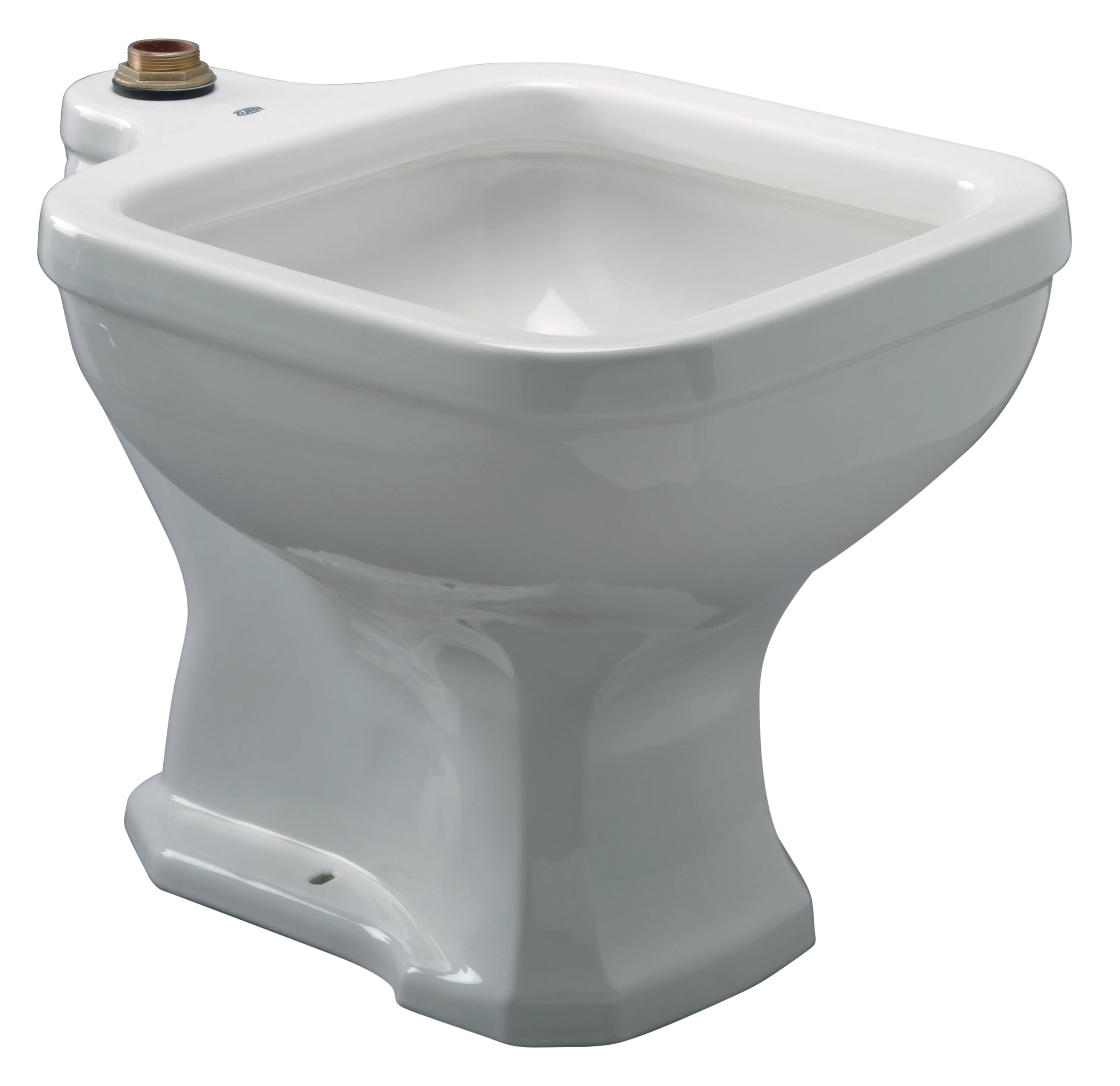 Botadero clínico de loza blanca Z-5420 ZURN